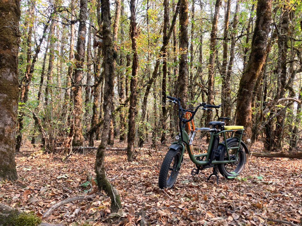RadRunner Long Term Review: The Best Family Electric Bike - Go Motorbikes