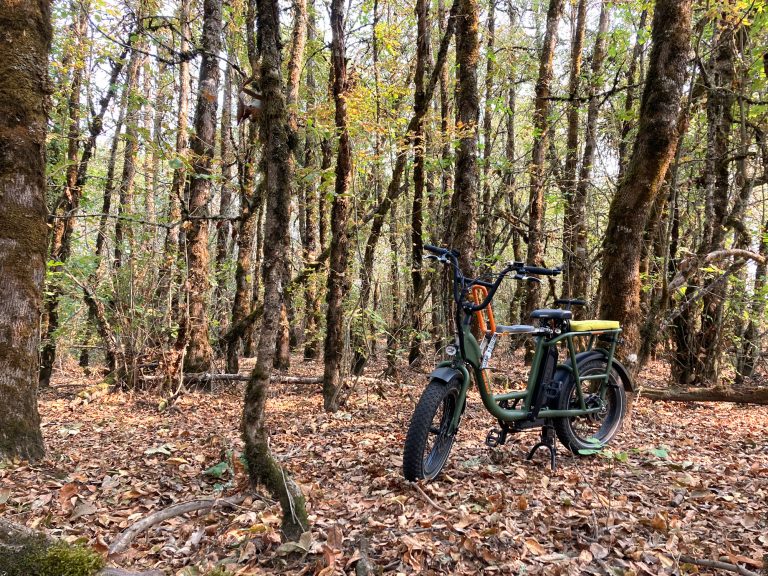 RadRunner Long Term Review: The Best Family Electric Bike - Go Motorbikes
